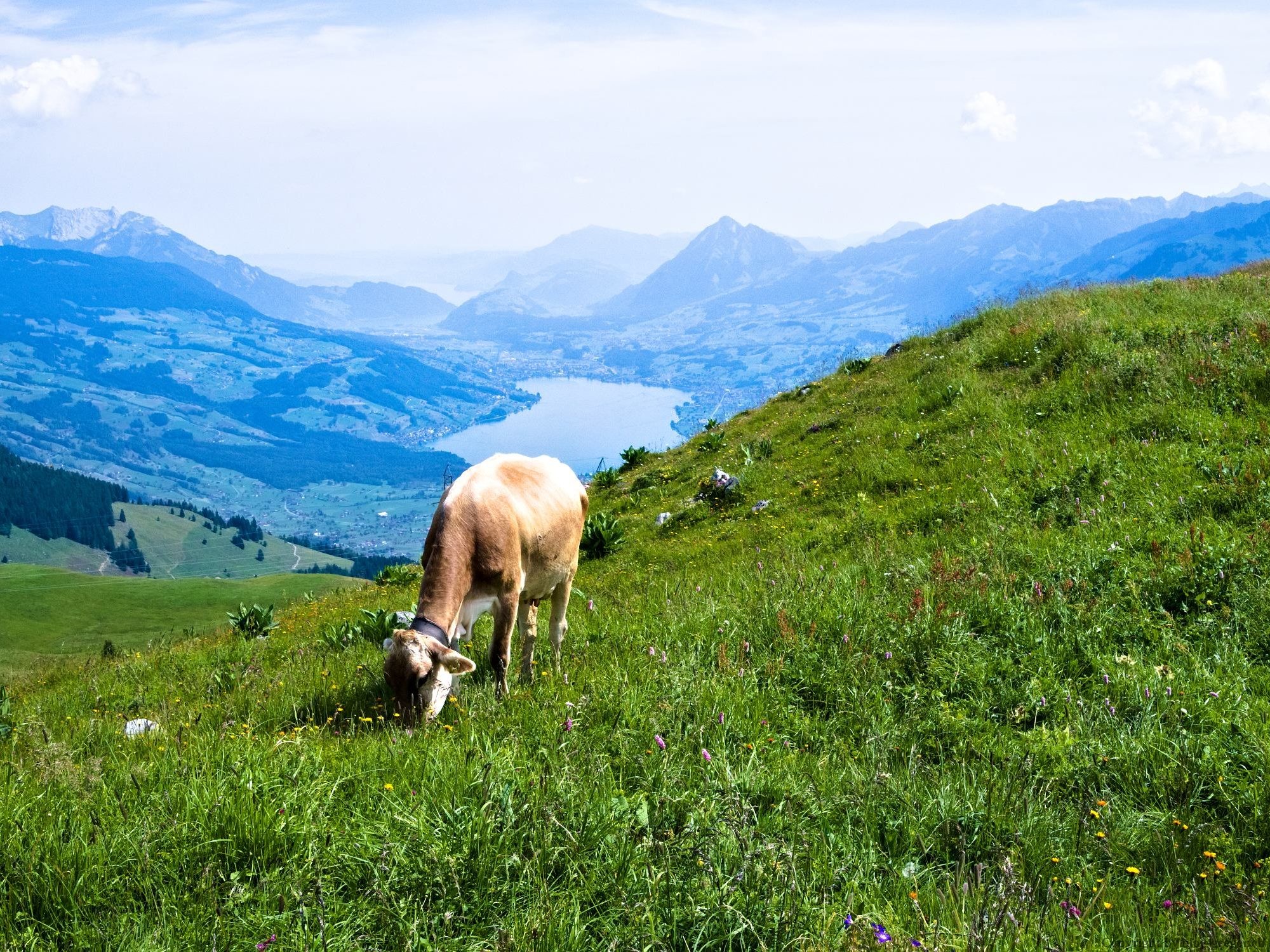 Erlebe die Rundwanderung Turren - Mändli | Gregors Blog