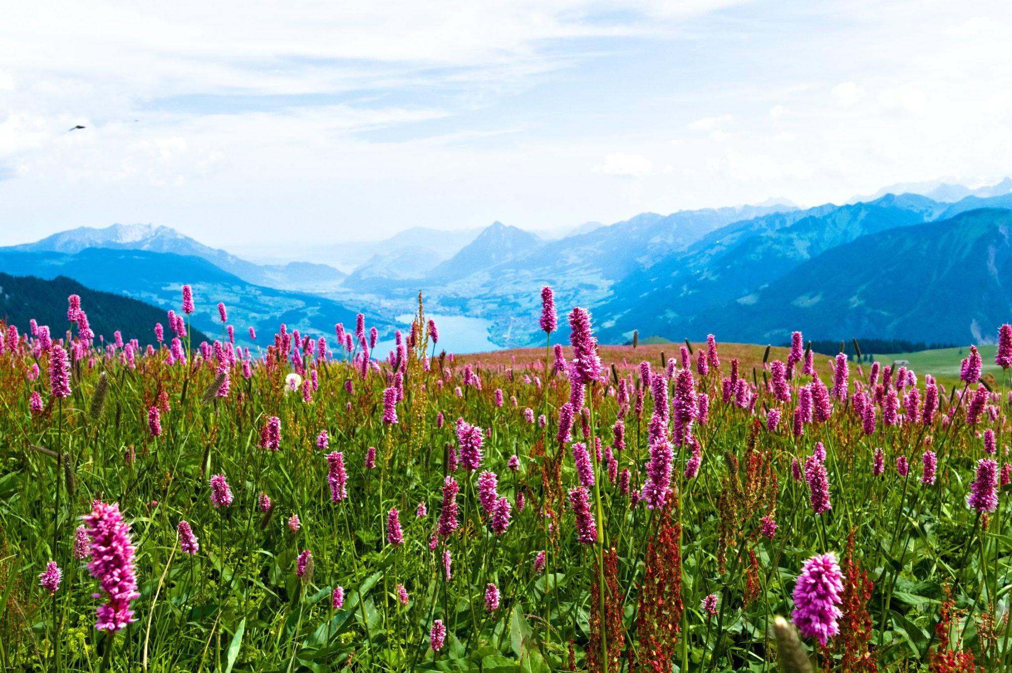 Erlebe die Rundwanderung Turren - Mändli | Gregors Blog